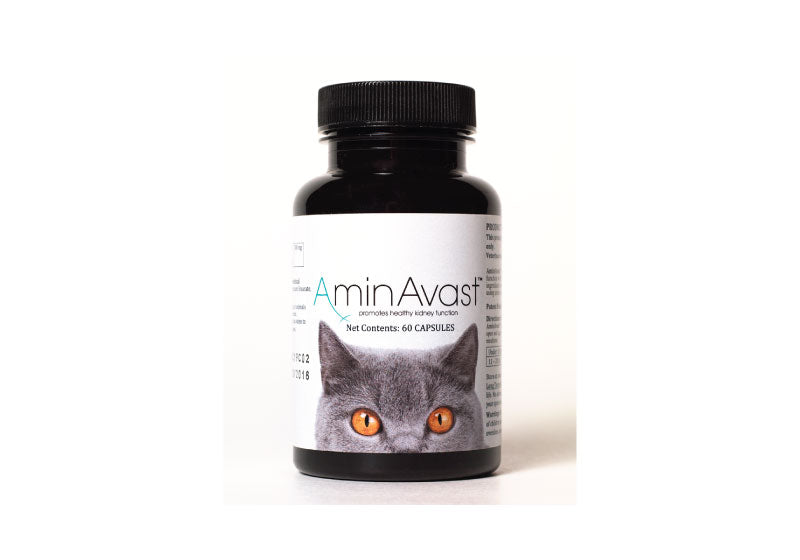 Kidney Supplements for Cats | Manta Store
